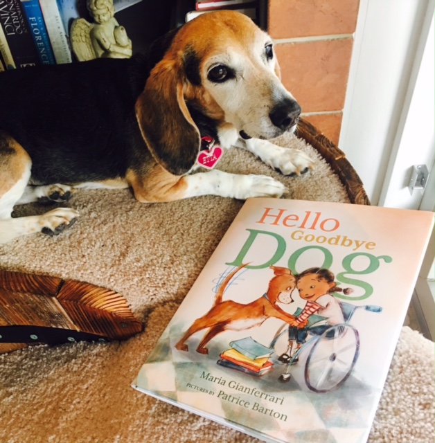 AROO for #pb10for10 Day! – Beagles & Books