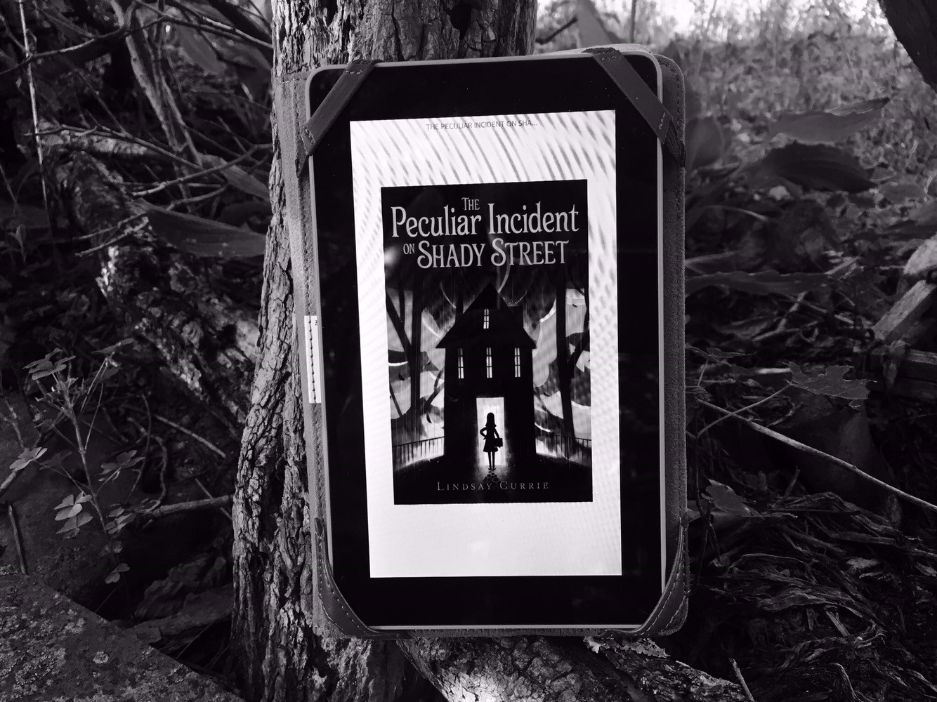 The Peculiar Incident on Shady Street by Lindsay Currie – Beagles & Books