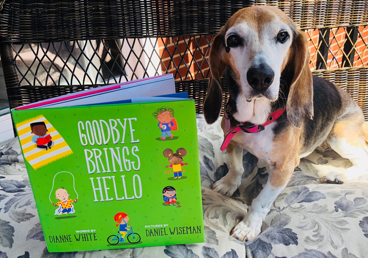 Happy Book Birthday to Goodbye Brings Hello: A Book of Firsts by Dianne ...