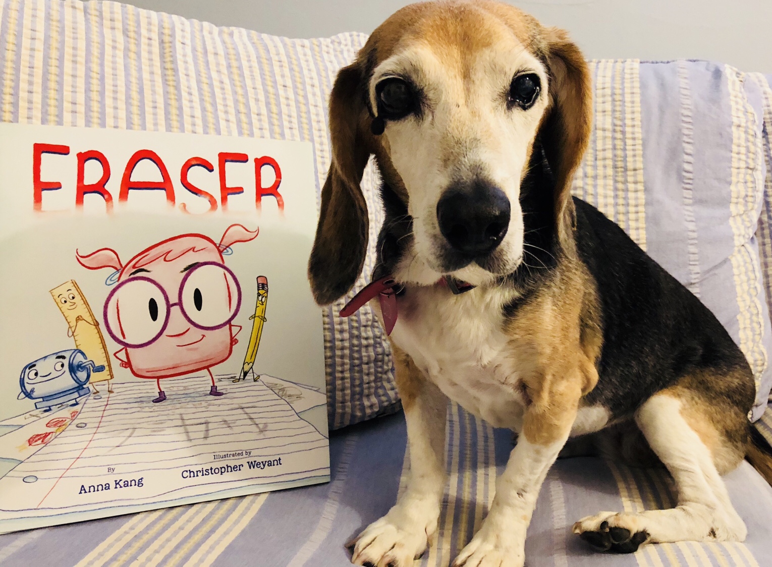 Blog Tour & Giveaway: Eraser by Anna Kang Illustrated by Christopher ...