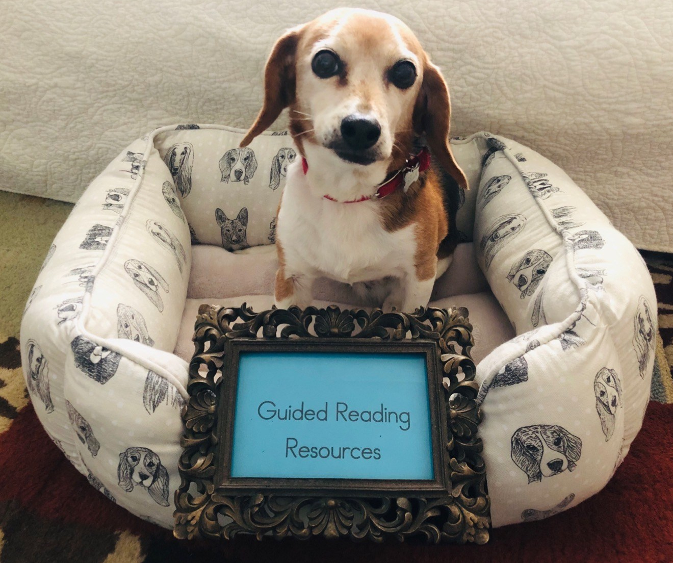 Remote Learning Guided Reading Resources – Beagles & Books