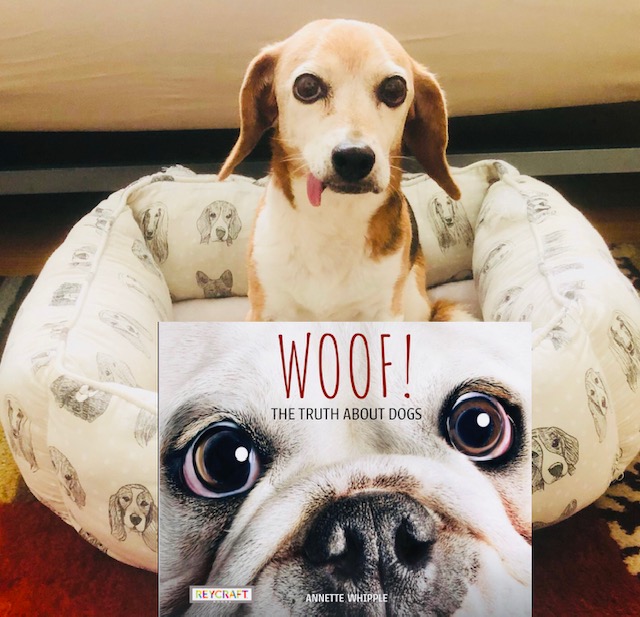 Happy Book Birthday to Woof! The Truth About Dogs by Annette Whipple ...