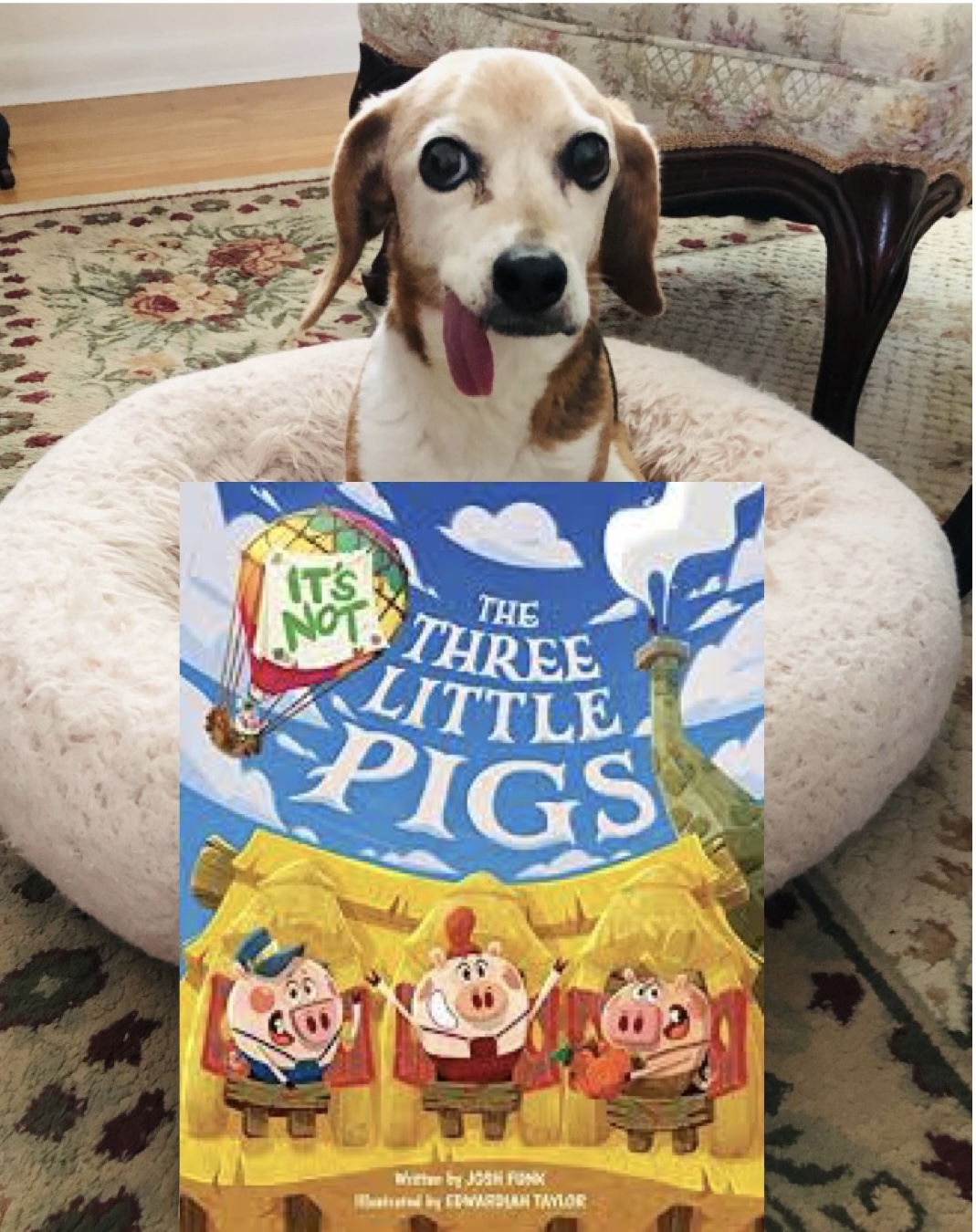 Review & Giveaway: It’s Not The Three Little Pigs by Josh Funk ...