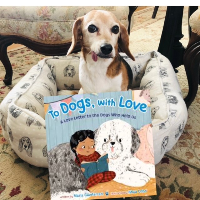 Beagles & Books – a blog featuring reviews of children's literature