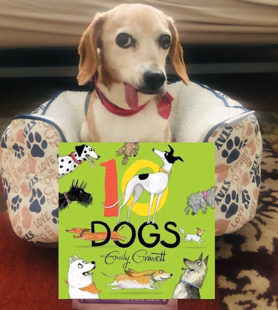 Beagles & Books – a blog featuring reviews of children's literature