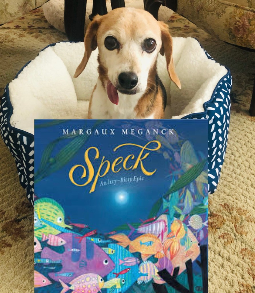 Beagles & Books – a blog featuring reviews of children's literature