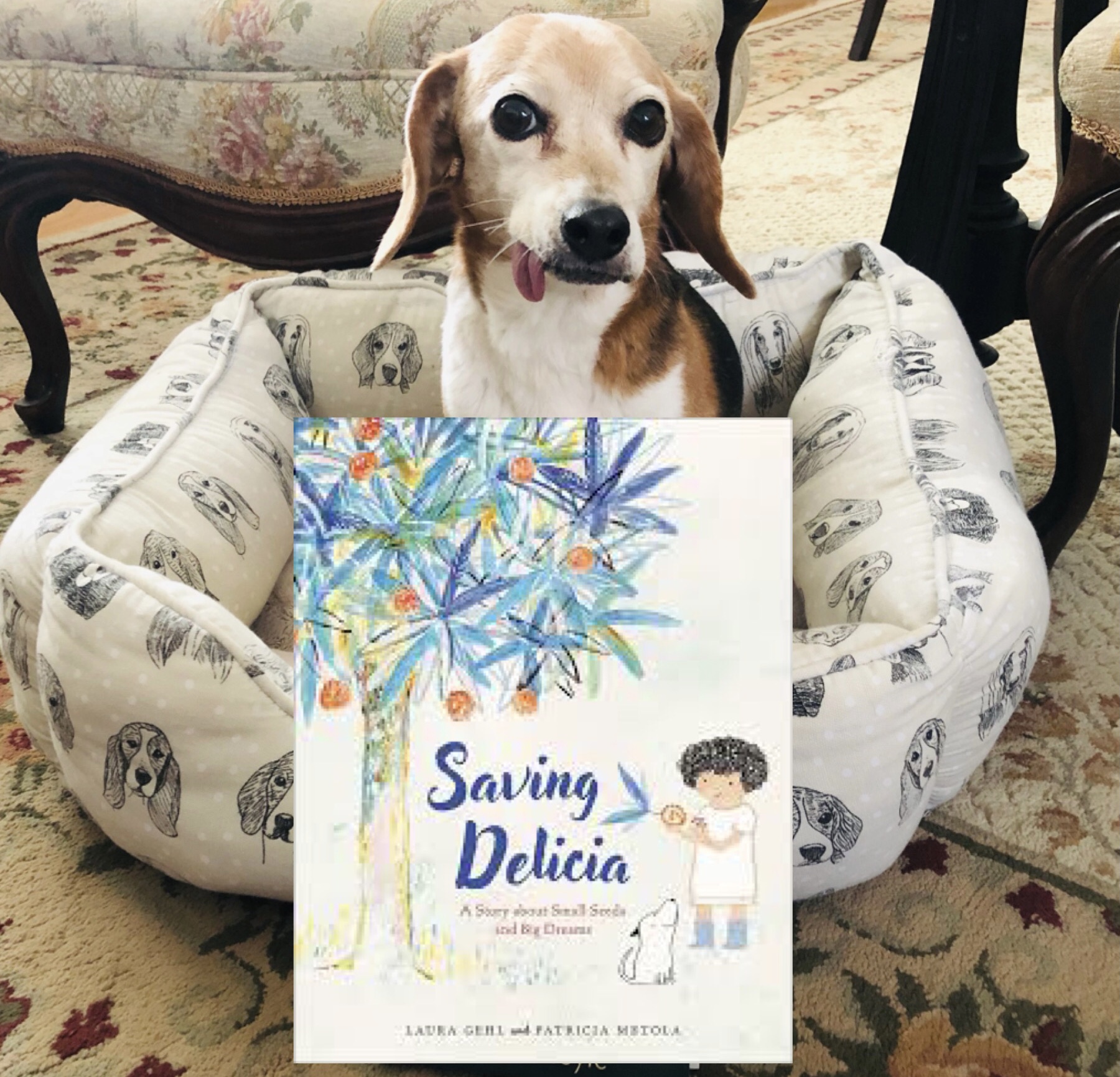 Beagles & Books – a blog featuring reviews of children's literature