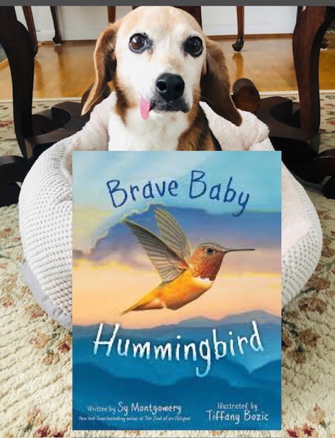 Beagles & Books – a blog featuring reviews of children's literature