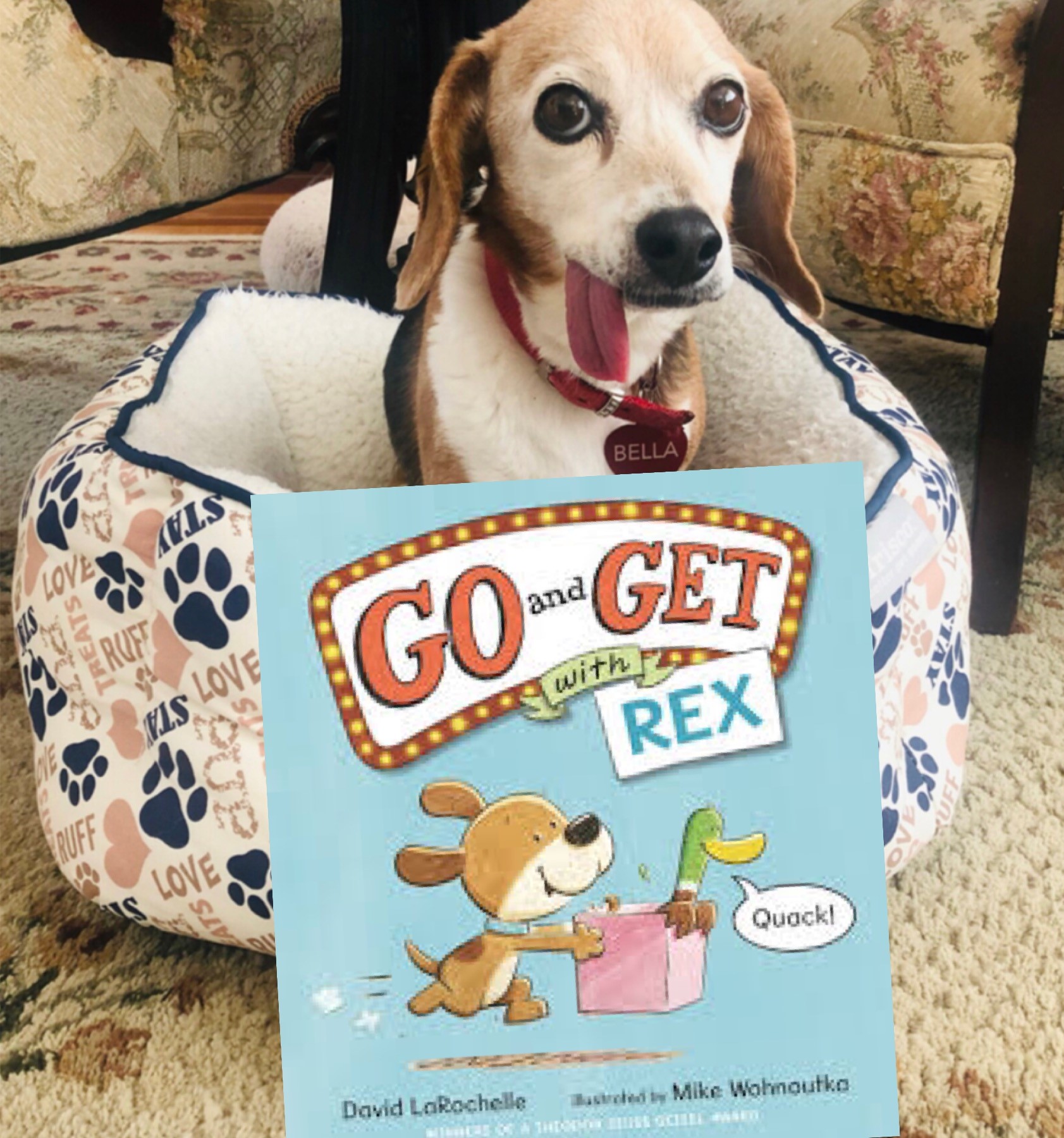 Beagles & Books – a blog featuring reviews of children's literature