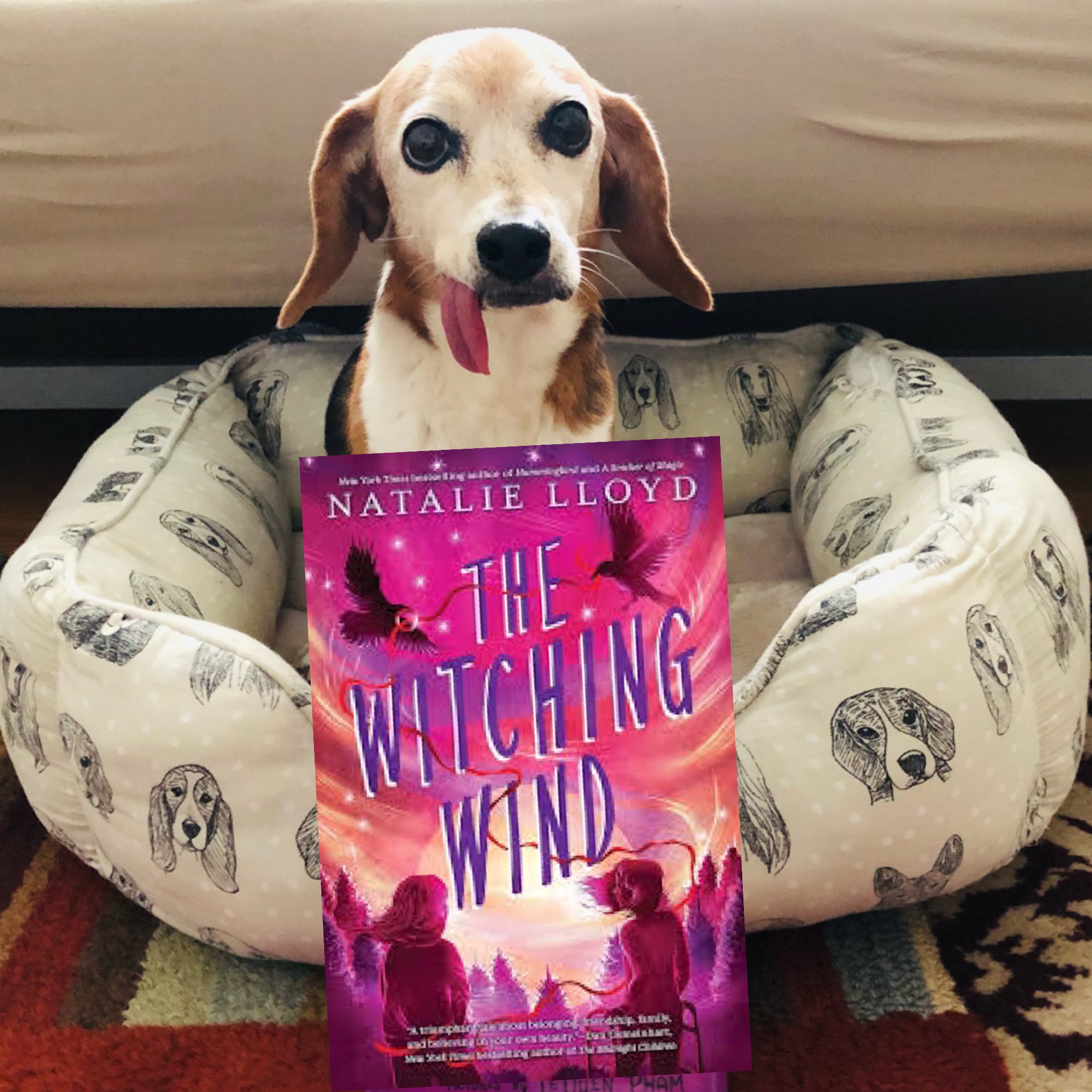 Beagles & Books – a blog featuring reviews of children's literature
