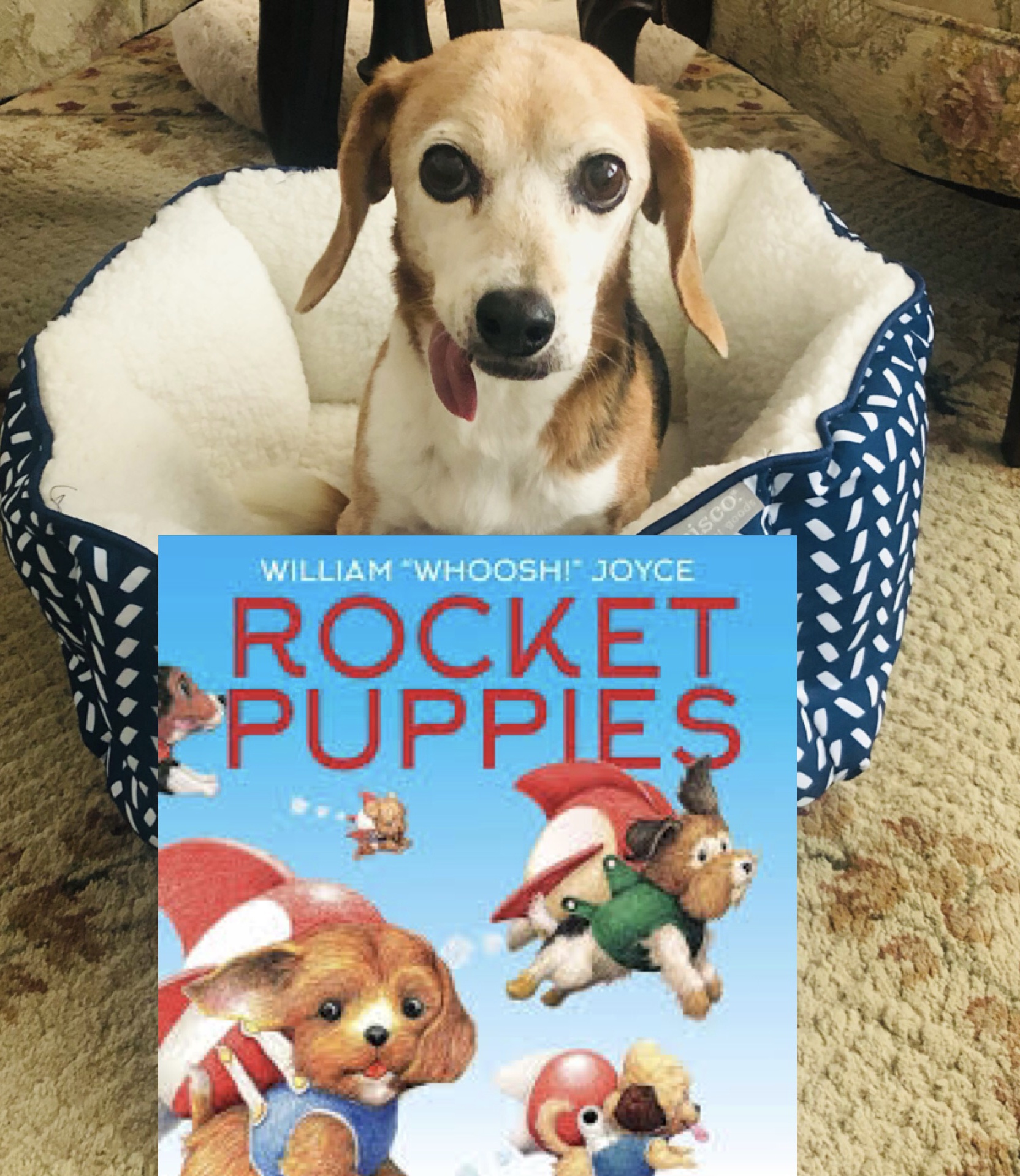 Beagles & Books – a blog featuring reviews of children's literature