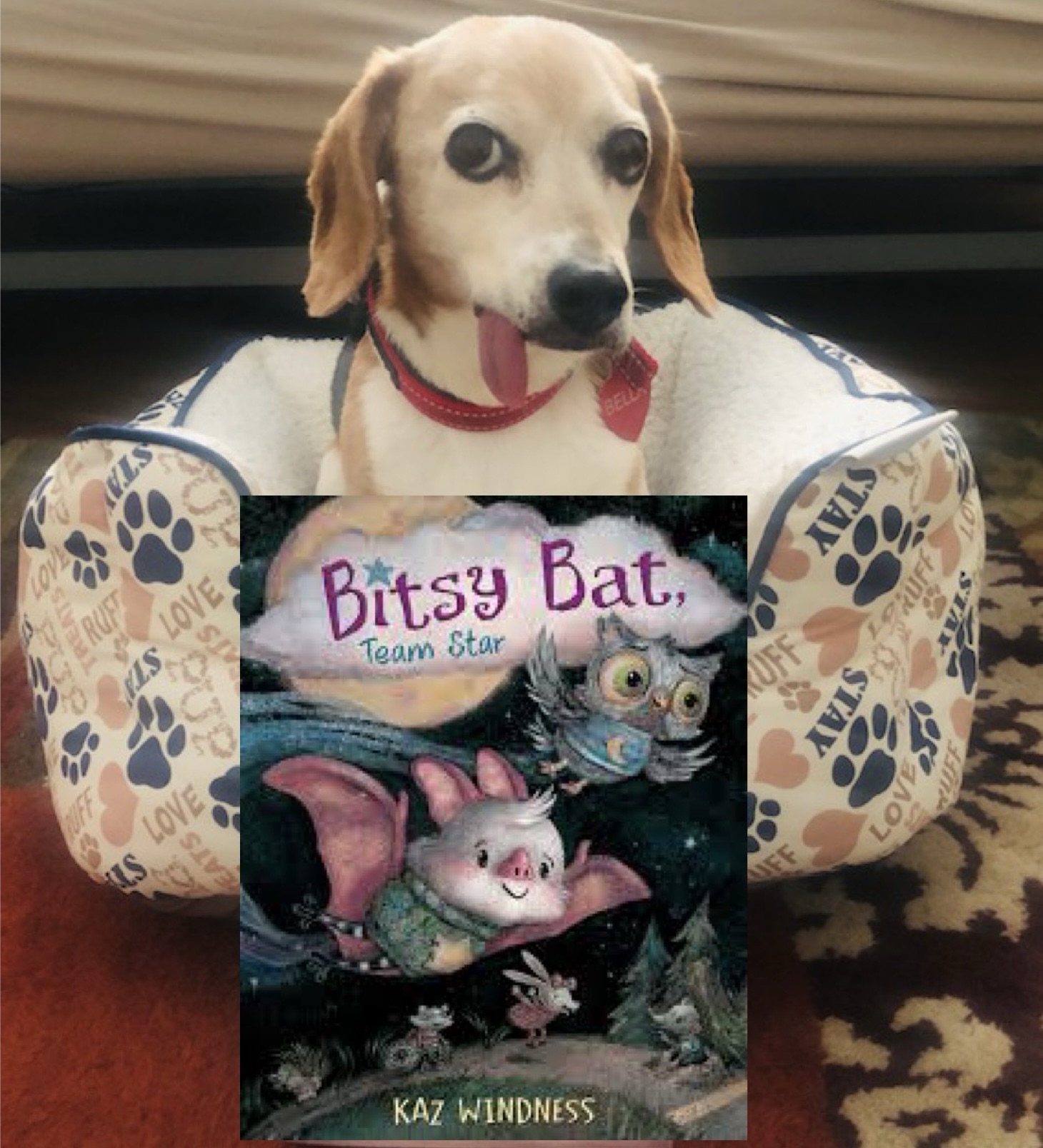 Happy Book Birthday to Bitsy Bat, Team Star by Kaz Windness – Beagles ...