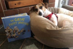 Beagles & Books – Featuring Terriers & Tales